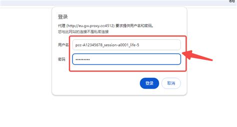 如何在windows上设置和使用代理？ Proxycc