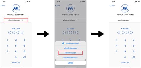 Logging In Ios Miracl User Guide