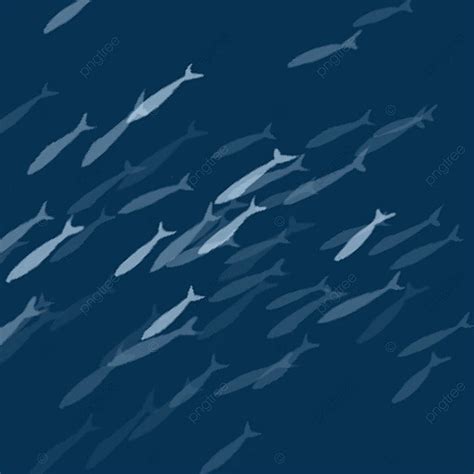 물고기 배경 흰색과 파란색 물고기 배경 흰 배경 흰살 생선 배경 일러스트 및 사진 무료 다운로드 Pngtree