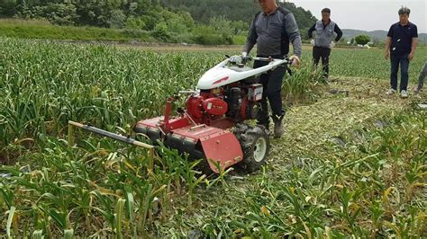 마늘줄기절단기 아세아기계산업 관리기용제초기 010 3502 6939 Youtube