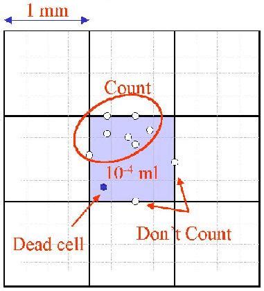 Star Republic Guide For Biologists