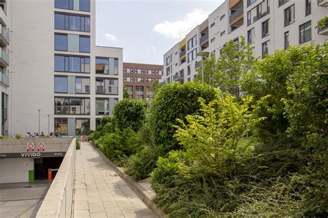 Ecostratos • Tree Anchoring System