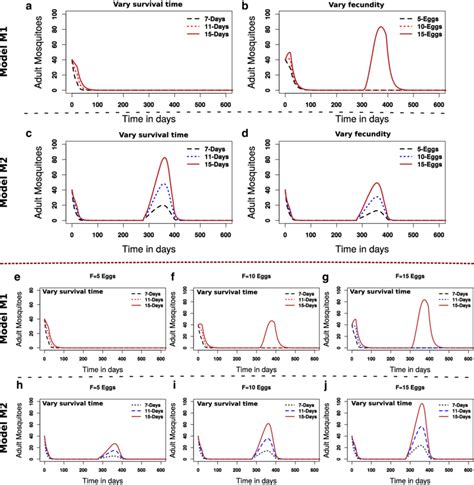 The Trade Off Between Fecundity And Survival Longevity Drives