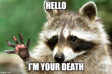 40 Hello Memes To Help Break The Ice Inspirationfeed