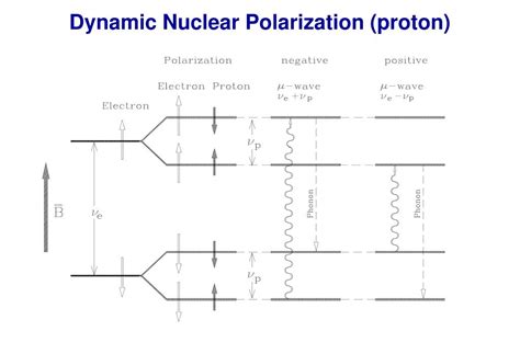 Ppt Polarized Targets And Physics Program Powerpoint Presentation