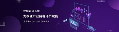 超大全求吃系统