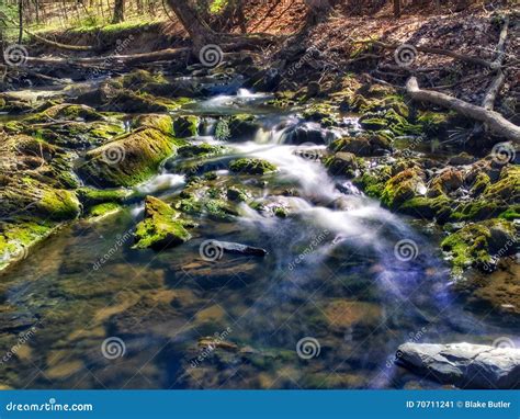 Swirling Stream Into A Tiny Pond Stock Image Image Of Tranquility