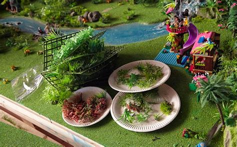 Heartlake Times Filming LEGO Friends Jungle TV Spots