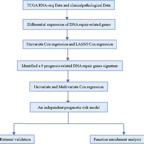 The Flowchart Of The Research Design Download Scientific Diagram