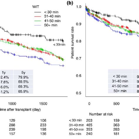 Pdf Short Recipient Warm Ischemia Time Improves Outcomes In Deceased Donor Liver Transplantation
