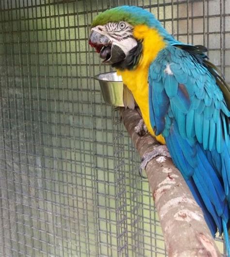 Dr Piret Vilborn Posted On Linkedin