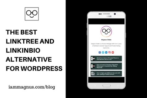 The Best Linktree and Linkinbio Alternative For WordPress – Magnus Okeke