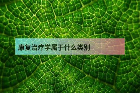 康复治疗学属于什么类别 职教网