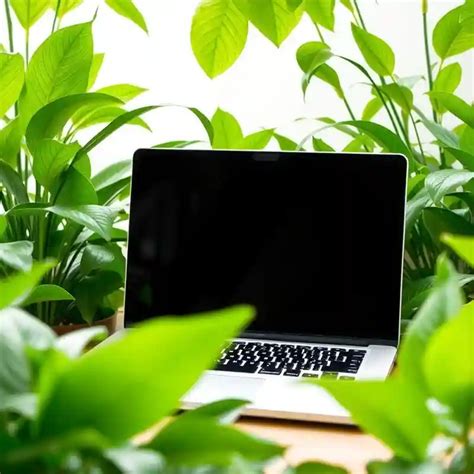 Sustainable Marketing Strategies For 2025 What You Need To Know Howik