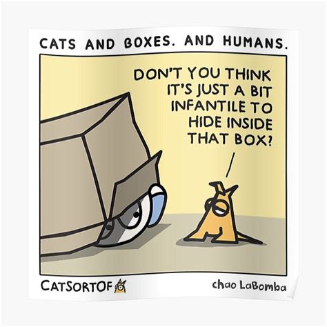 All You Need To Know About Cute Cat Comics Macmillan Education Bookstore