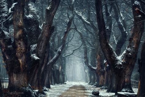 The Watchers By Inge Bovens Photo 238065151 500px Photography