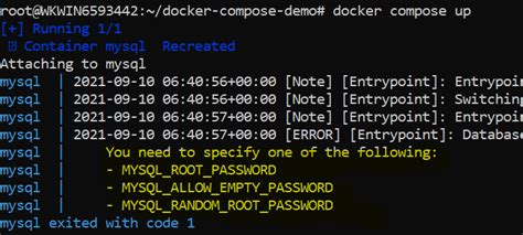 Taking Advantage Of The Docker Compose Environment Variables