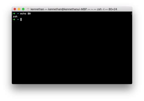 완벽한 Mac 작업환경 세팅하기 vim zsh iterm PIGNOSE BARN