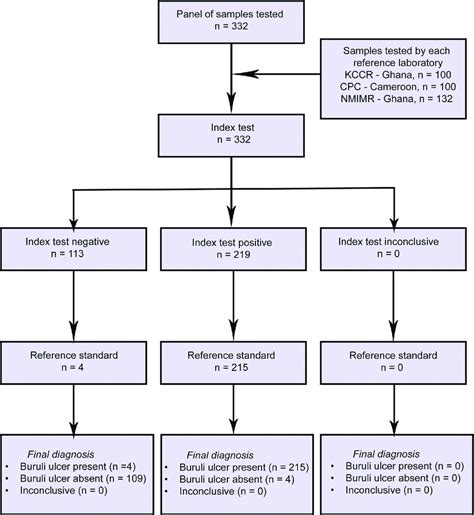 Flowchart Of Samples Used In Determining The Diagnostic Accuracy Of The Download Scientific
