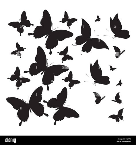 Insect Butterfly Outline Vector Nature Coloring Book Insect Butterfly Outline Vector Nature