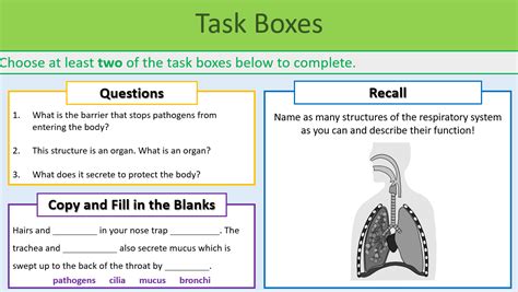 Immune System Lesson GCSE Biology Teaching Resources