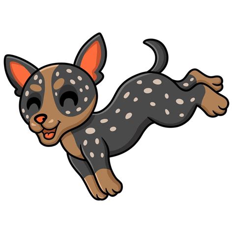 Cute Australian Cattle Dog Cartoon 16834740 Vector Art At Vecteezy