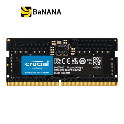 แรมโนตบค Crucial Ram Notebook DDR GB GB MHz CL Shopee Thailand