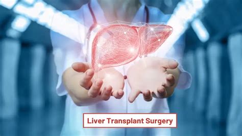Liver Transplant Surgery Step By Step Process For Patients
