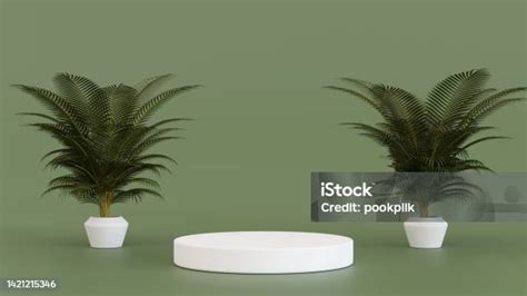 야자수가있는 실린더 연단 받침대 제품 프리젠 테이션 단계 3d 렌더링 1위에 대한 스톡 사진 및 기타 이미지 1위 나무