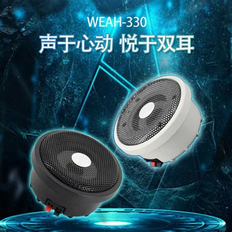 Outdoor Waterproof Full Frequency Passive Speaker Conference Room Ceiling Fixed Impedance Speak
