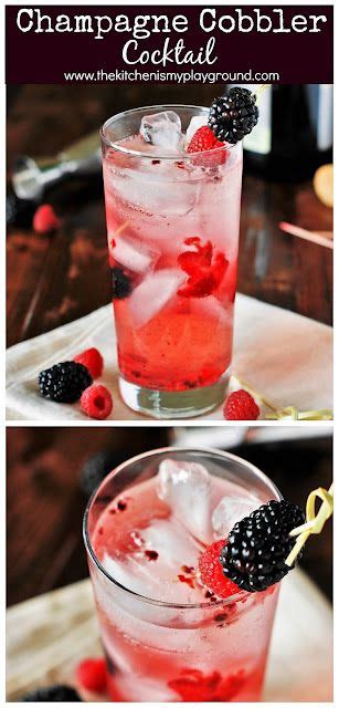 Champagne Cobbler Cocktail ~ This Sparkling Cocktail Is Packed With The