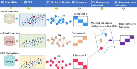 The Framework Of The Proposed Method 1 The Dna Methylation Gene