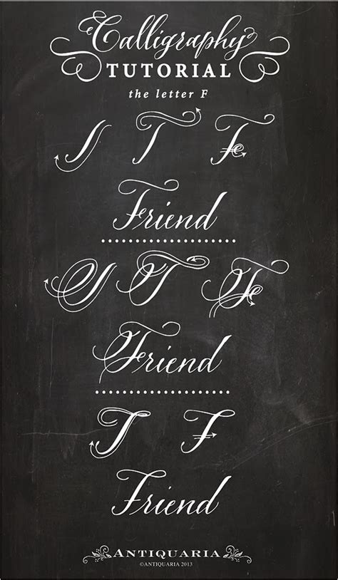 Antiquaria Calligraphy Tutorial The Capital Letter F