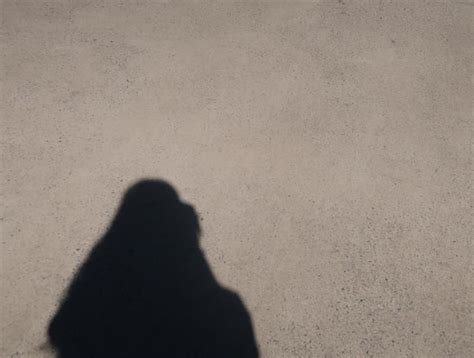 Python的设计哲学：the Zen Of Python 知乎