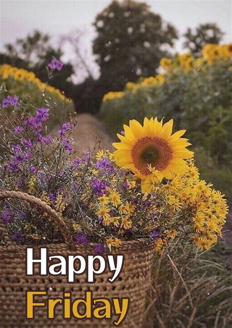 Happy Friday Quotes To Start Your Weekend With Joy Happy Friday