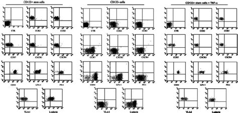 Facscan Immunophenotyping Of Sorted Human Circulating Cd133 ؉ And Cd133 Download Scientific