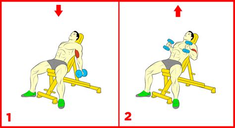 «Буйная схема для роста бицепсов понадобится только пара гантелей
