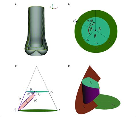 A Cad Model Of An Idealized Native Aortic Root A And Its Parameters Download Scientific