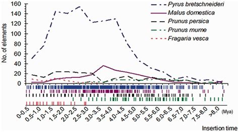Insertion Times Of Cassandra Intact Elements The Insertion Times Of Download Scientific Insertion Times Of Cassandra Intact Elements The Insertion Times Of Download Scientific