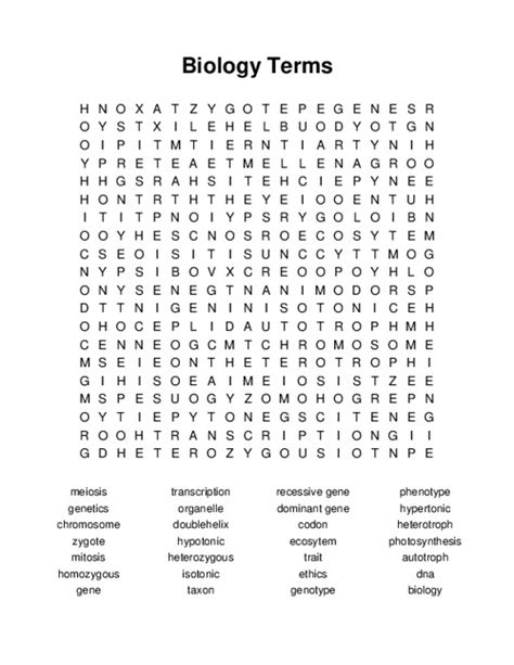 Biology Terms Word Search