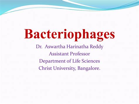 Bacteriophage And Replication Pptx Biological Sciences Science
