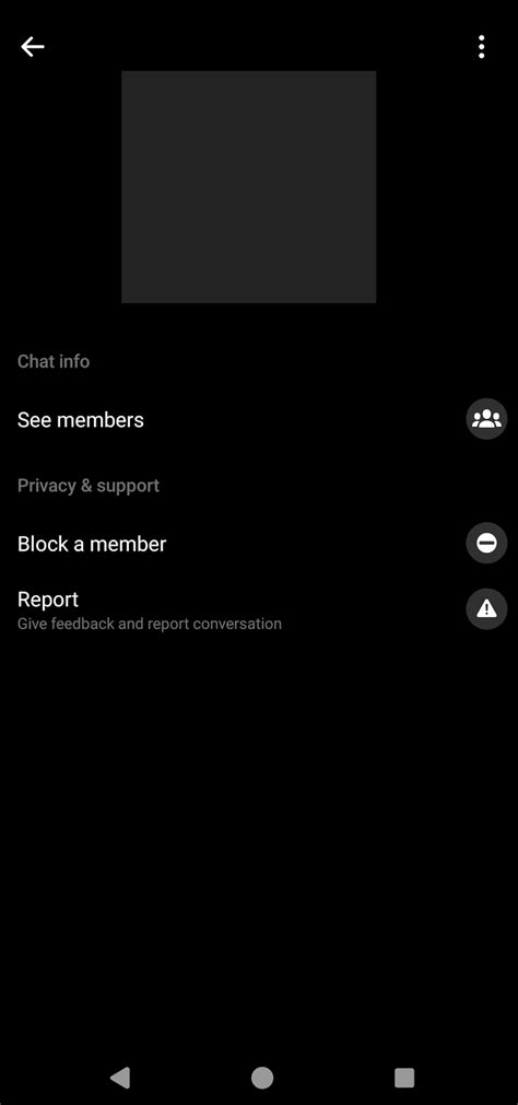 unable to see pinned messages r facebook