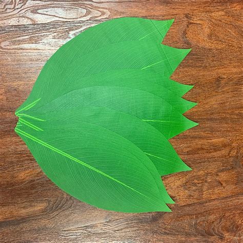 Silk Ti Leaf Package Details Aloha Hula Supply