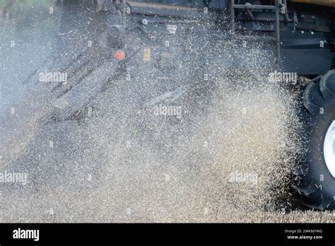 Chaff Coming Out Of A Combine Harvester After It Has Seperated The Grain From The Husk North
