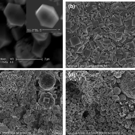 Fe Sem Of {001} Facet Tio 2 Films Prepared At Various Hf Download Scientific Diagram