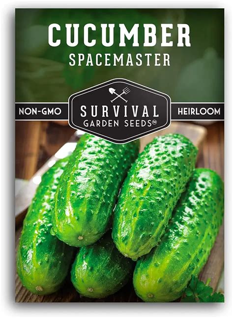 a beginner s guide to growing mini cucumbers in your garden shuncy
