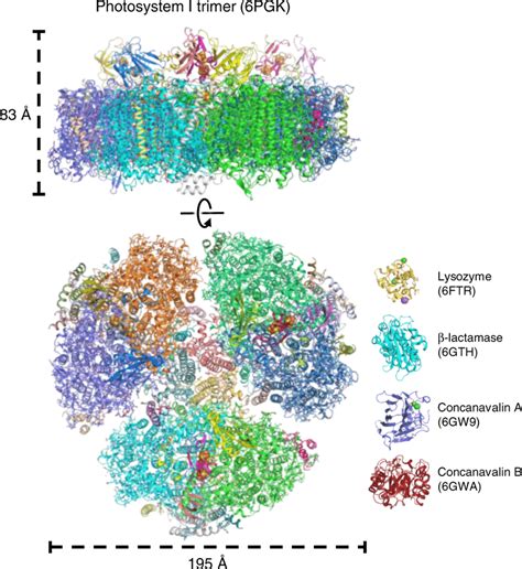 Comparison Of Sfx Structures From The Euxfel The Structure Of The Download Scientific Diagram