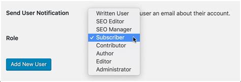 Add A New User To A Wordpress Blog
