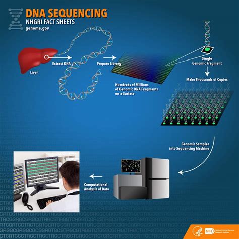 Genome Sequency Min Bioethics Observatory Institute Of Life Sciences UCV