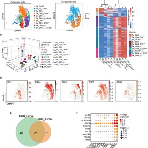 Dissection Of Exhausted T Cell Clusters In B‐all Patients A Umap Download Scientific Diagram